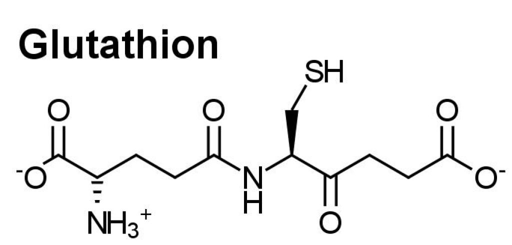 Glutathione là gì? Tác dụng của Glutathion với sức khỏe ra sao?
