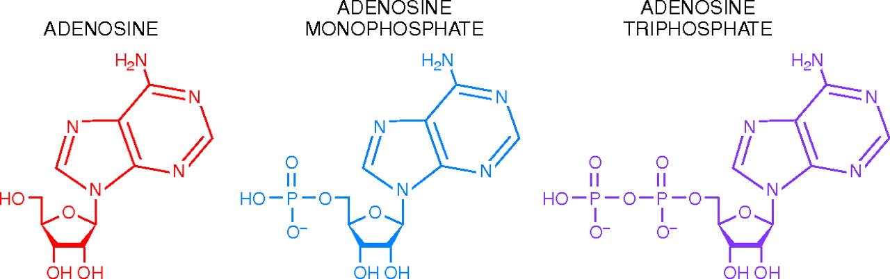 Adenosine có tác dụng gì với làn da? Nó có an toàn với da không?
